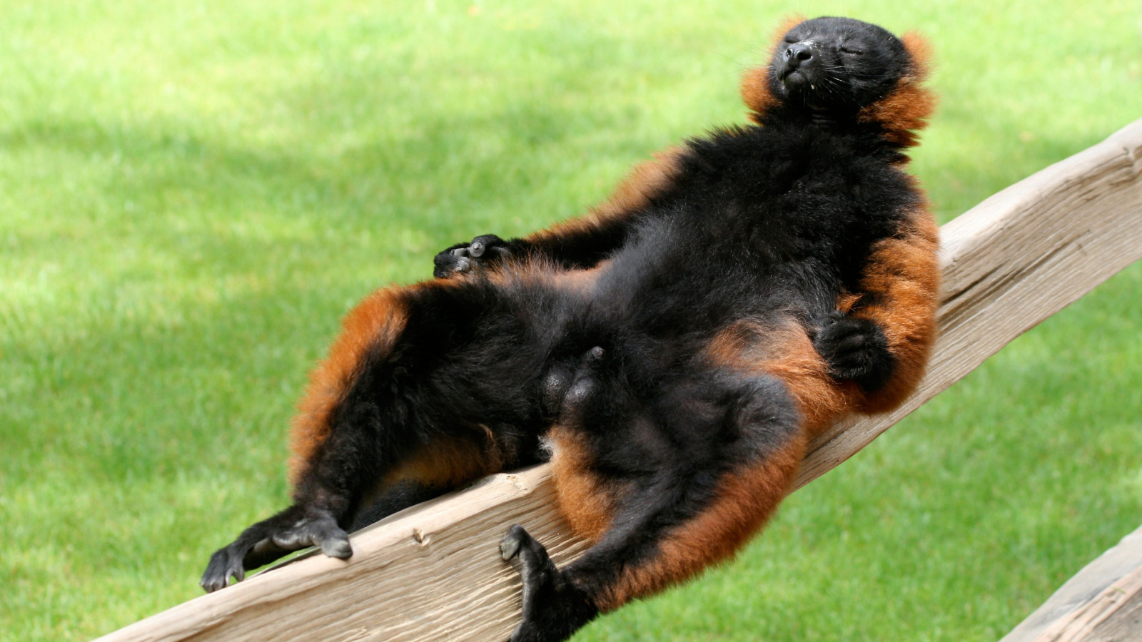 Bekijk hier de mooiste zomerfoto's en -video's - NH Nieuws