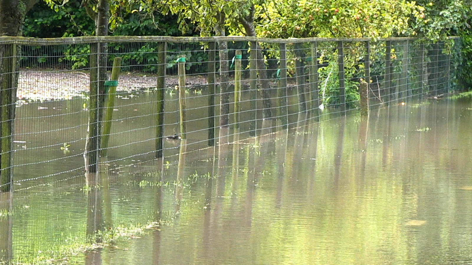 Wateroverlast en code geel in Noord-Holland - NH Nieuws Wateroverlast en code geel in Noord-Holland - NH Nieuws